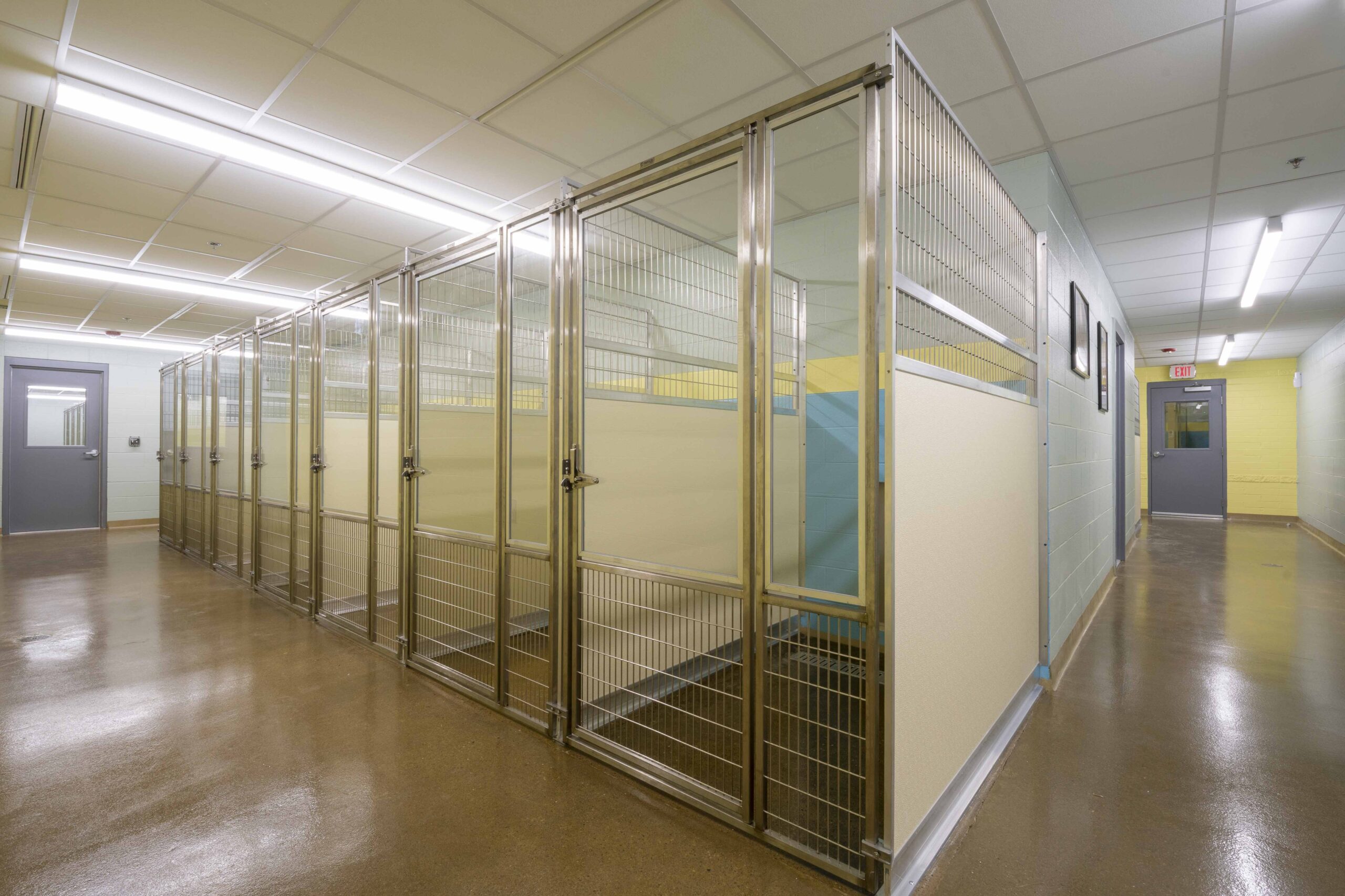 SPCA Addition - Cintech Construction